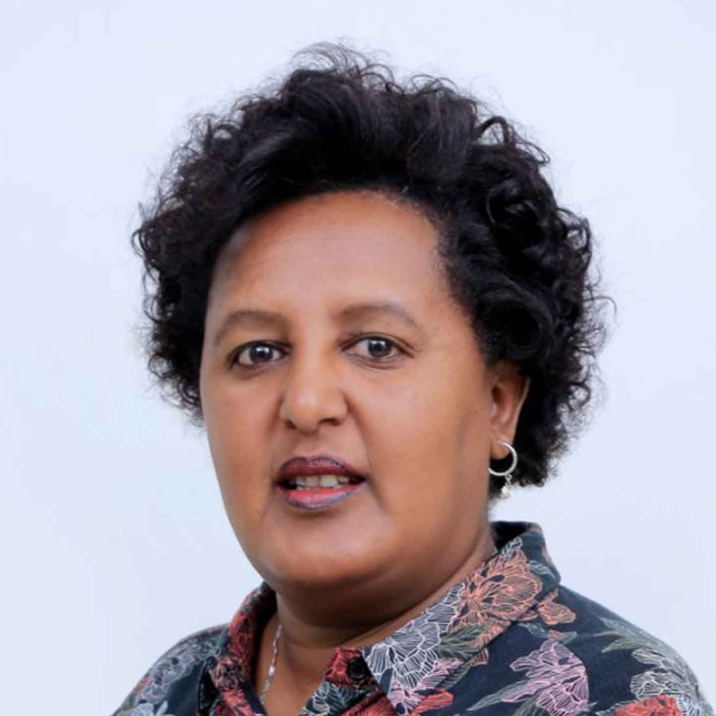 Save The Nation – Traffic Safety Program for Ethiopia-SNA